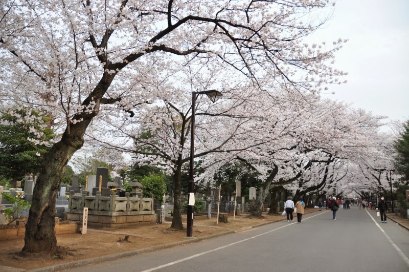 Go Away, Sam...: JR Yamanote Loop Line (Tokyo)