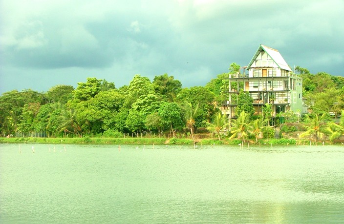 Roshographs: The Maharagama Lake and Nature Around it