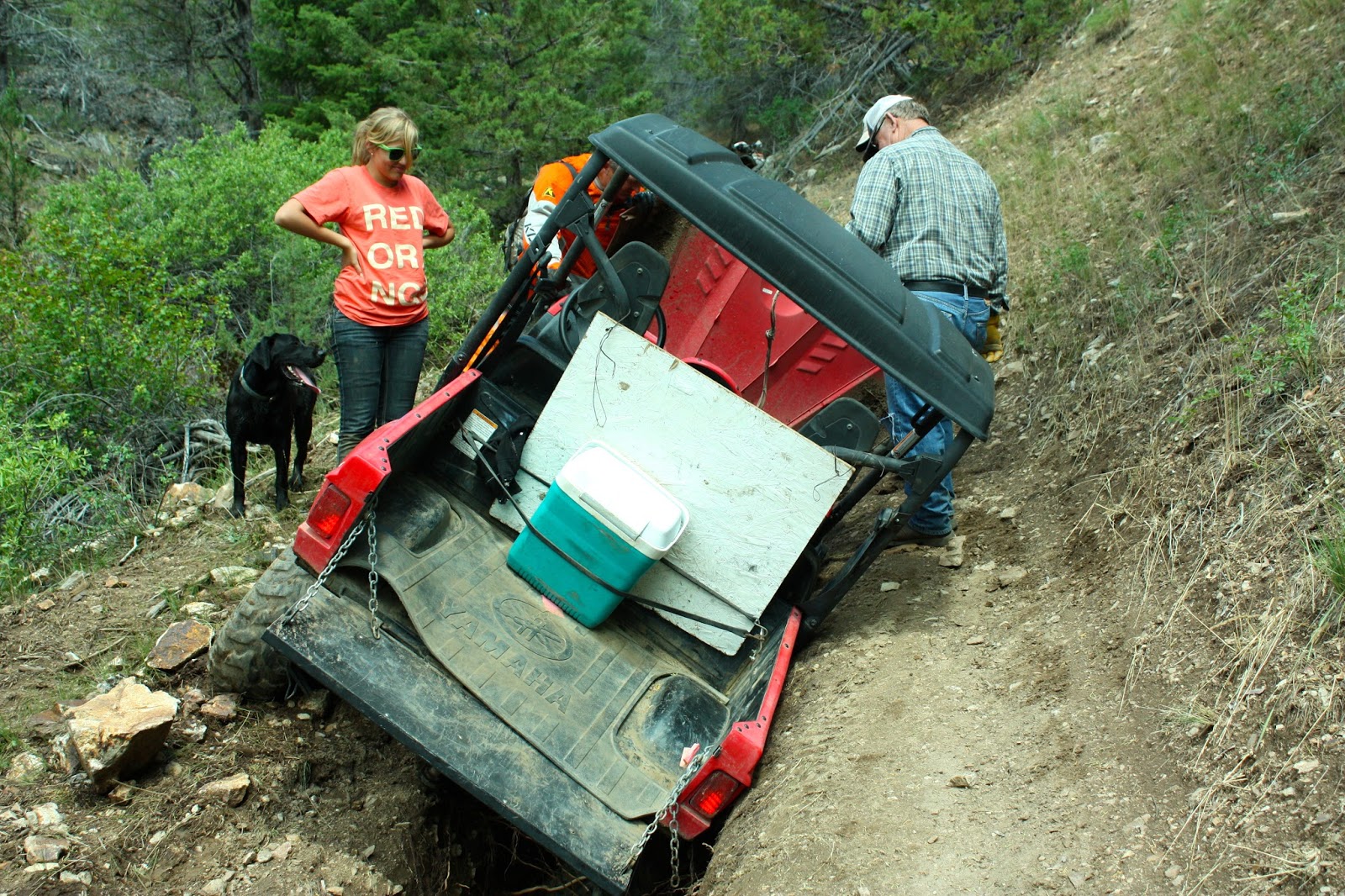 Sophisticated Wildthing