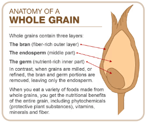 EMPower Nutrition: Whole-Grain How-To