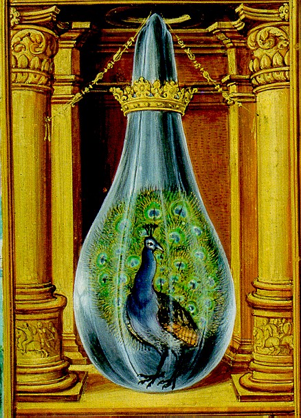 My Little Occult Shop: Birds in Alchemy Part 2