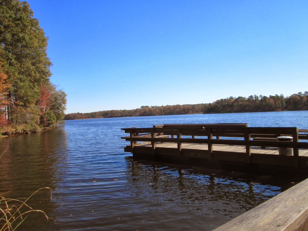 The Stir Crazy Moms' Guide to Durham: Harris Lake County Park