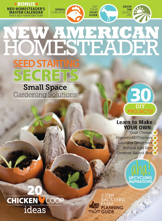 Keeping It Cozy: New American Homesteader Magazine