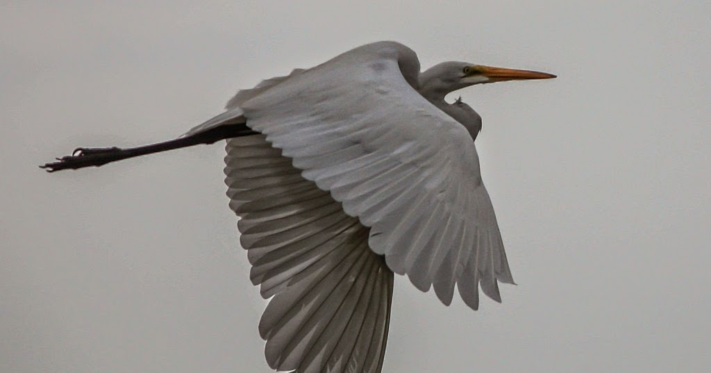 Mishy's Corner of the World: Lake Simcoe and Simcoe Day