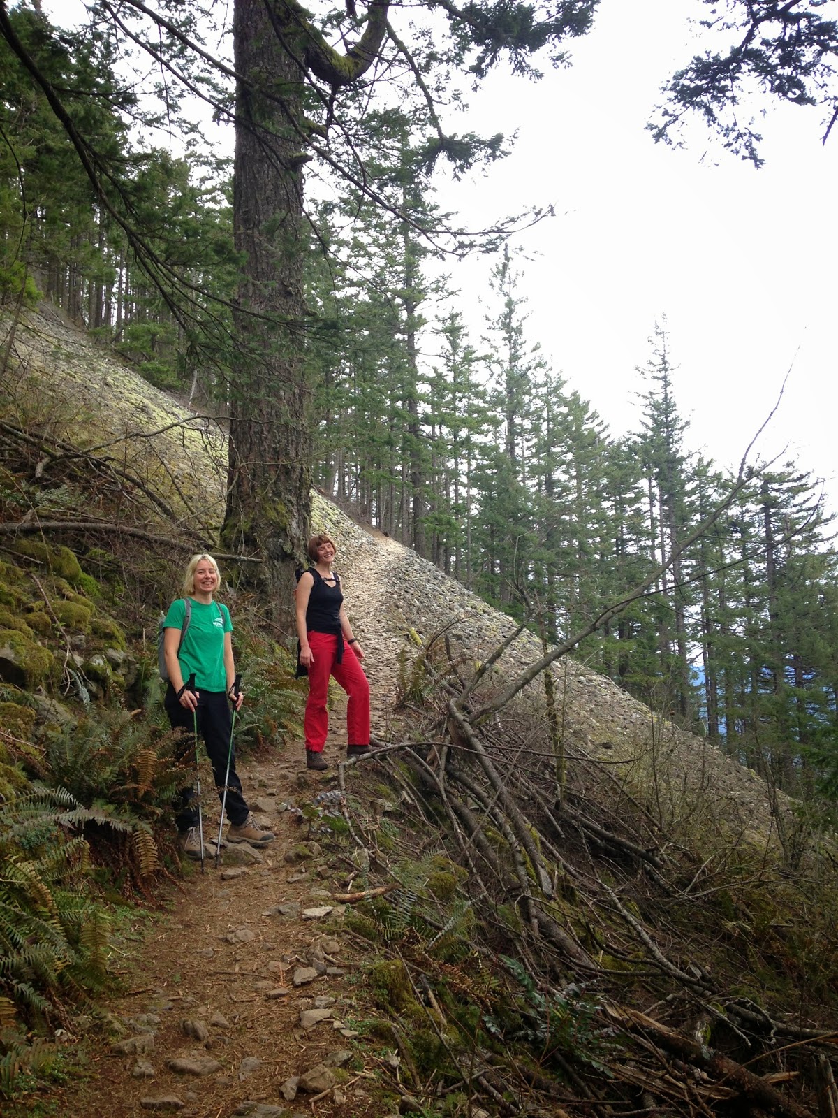 .Hike Mondays.: Wind Mountain Hike, Gifford Pinchot, Wind Mountain ...