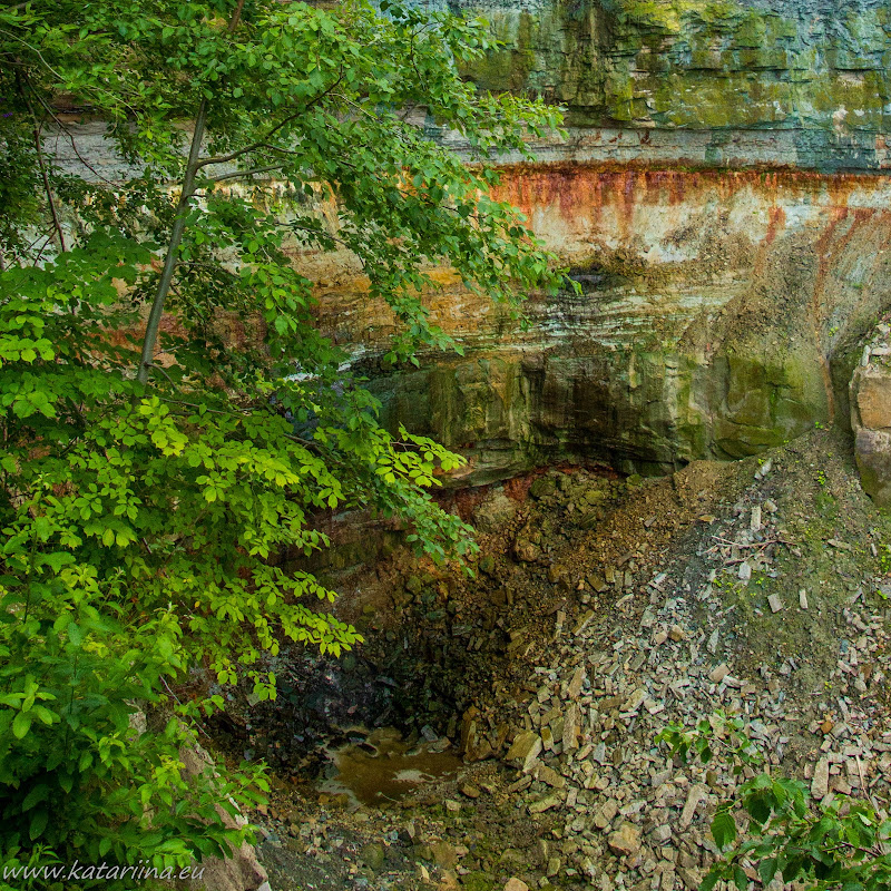 Katariina kudugurmee: Ontika pankrannik.