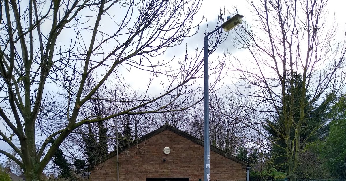 Perambulatory Ramblings: Romsey Ward Boundary: A walk for Terminalia