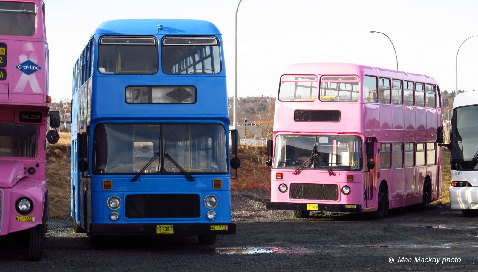 Truckfax: Routemasters in Pink and some interlopers