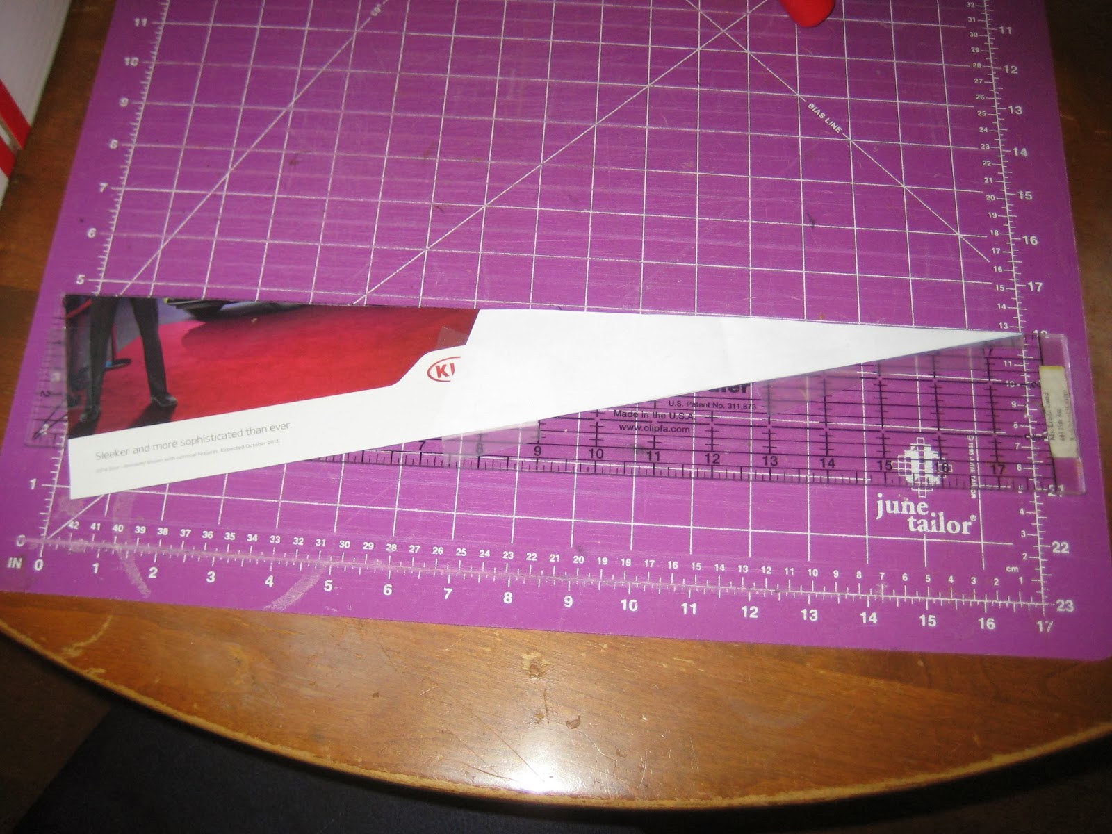 Pondering Cat: Wedge ruler experiment