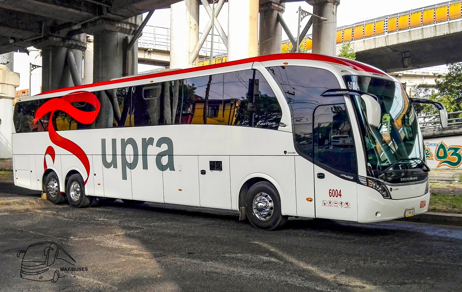MAXIBUSES: SUPRA