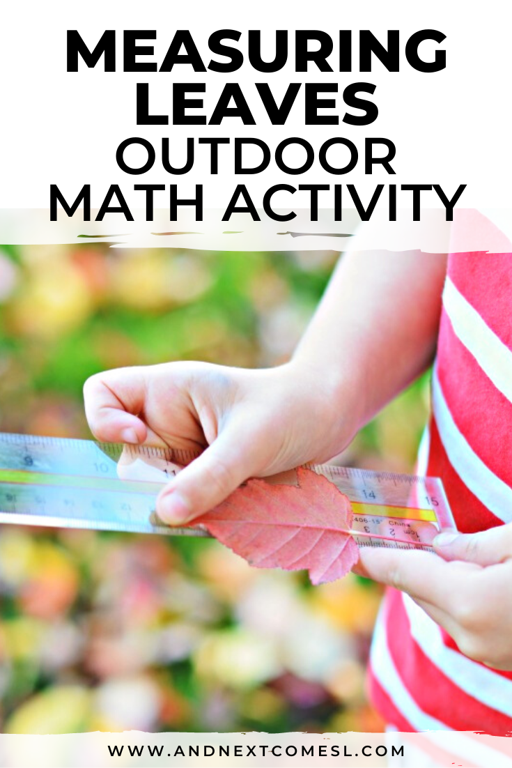 Measuring Leaves: An Outdoor Math Activity | And Next Comes L ...