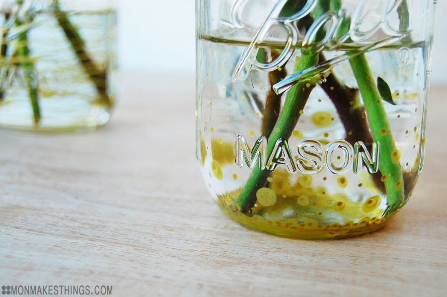 mon makes things: Gilded Mason Vases