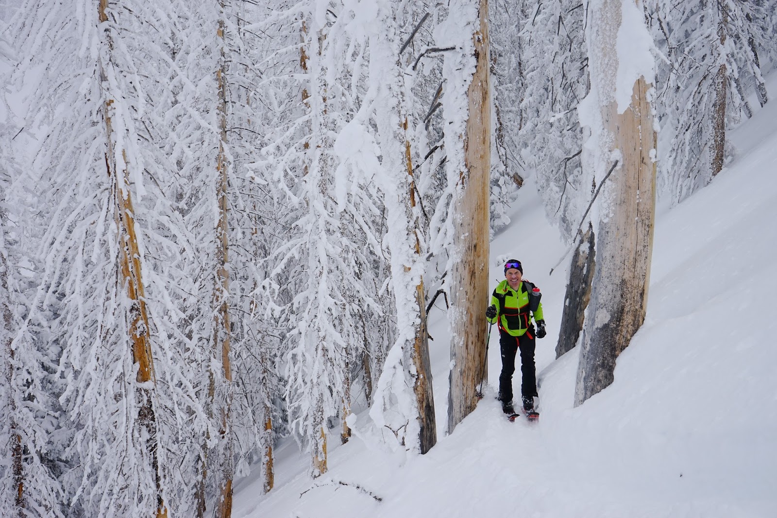 Andy Sherpa Spanish Snow andy-sherpa-spanish-snow