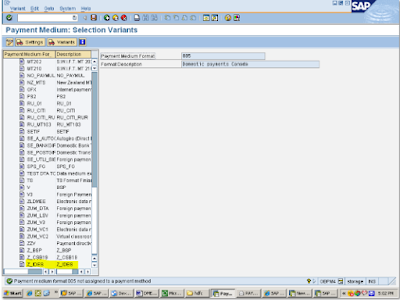 DMEE Configuration:Step By Step Part 2 - Sap 4 All