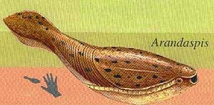 Animales prehistóricos: ARANDAPIS