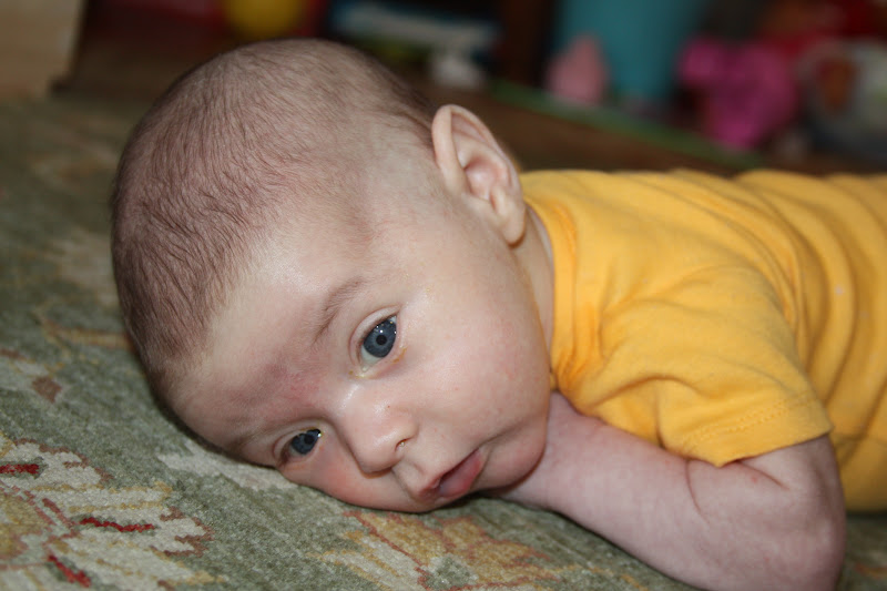 The Evolving Elseners: Balding Baby