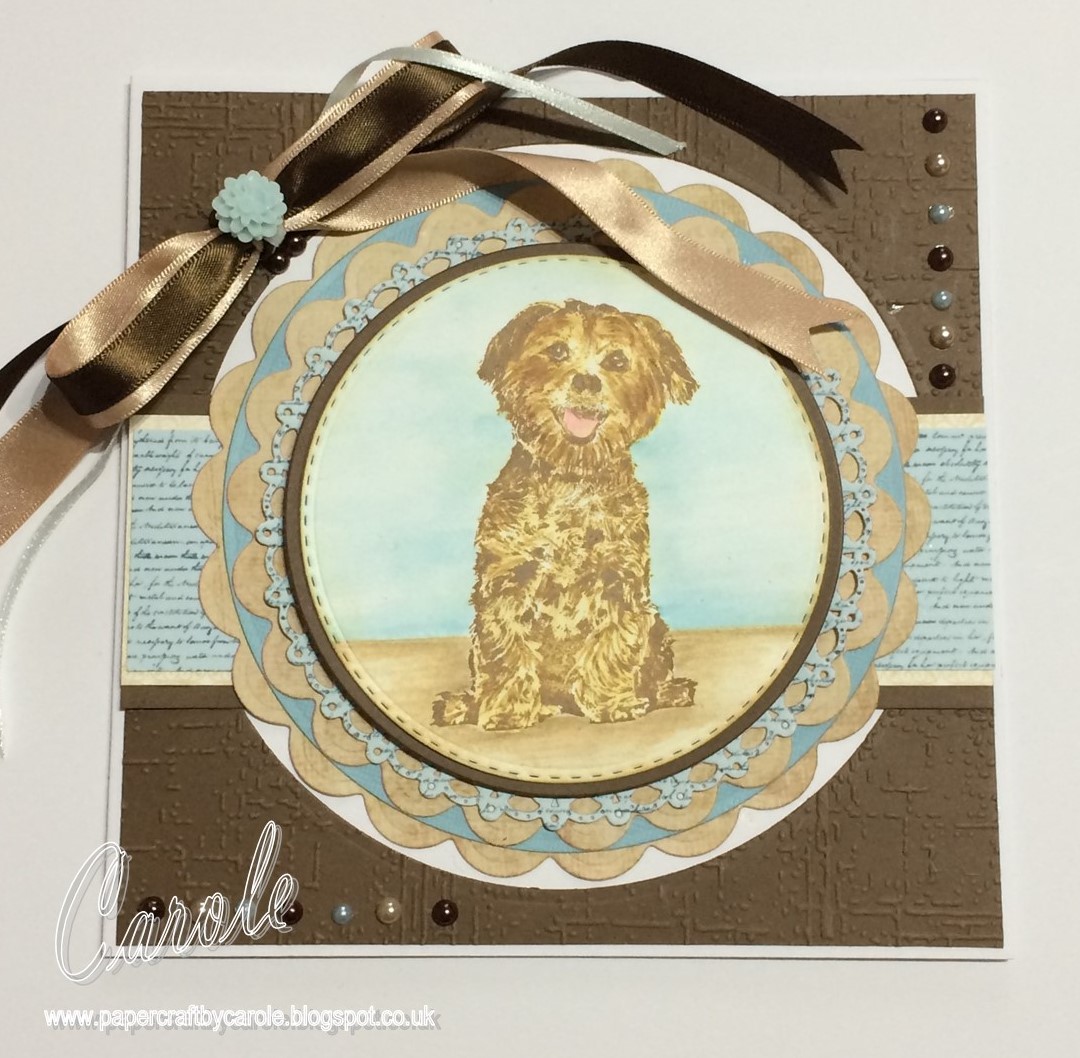 Papercraft by Carole!: Circles and Furry Things