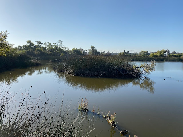 Looking for Ponds: PONDS in San Diego County