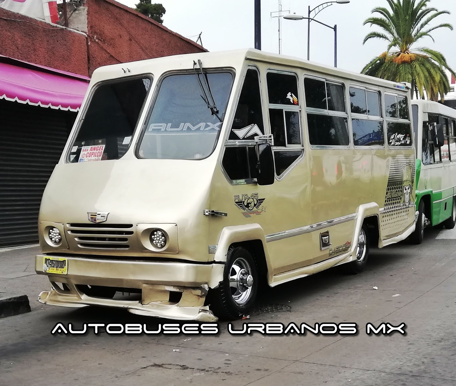 Transporte público, autobuses y microbuses CDMX.: Microbús Alfa 1999