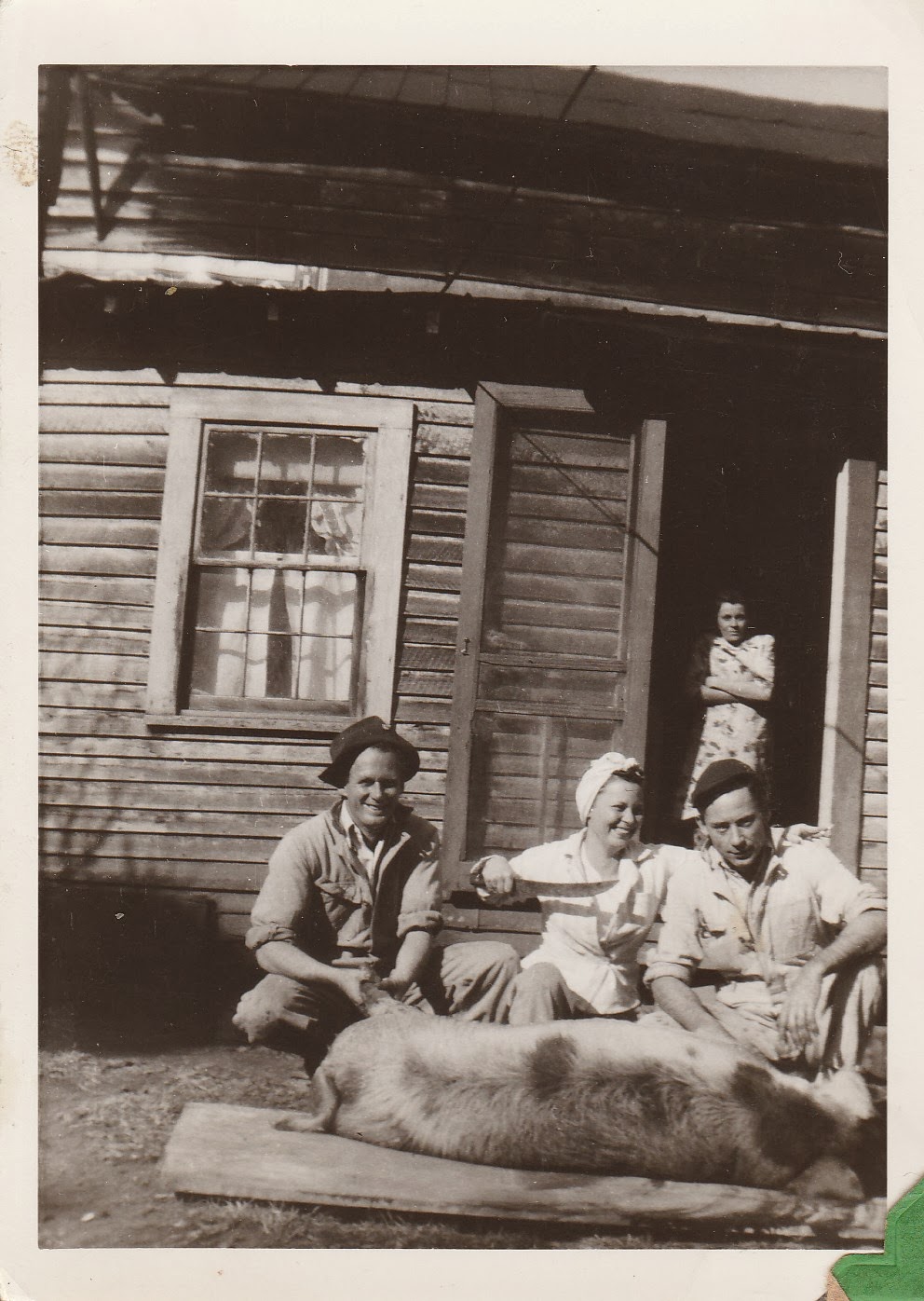 My Appalachian Life: HOG KILLING TIME IN APPALACHIA