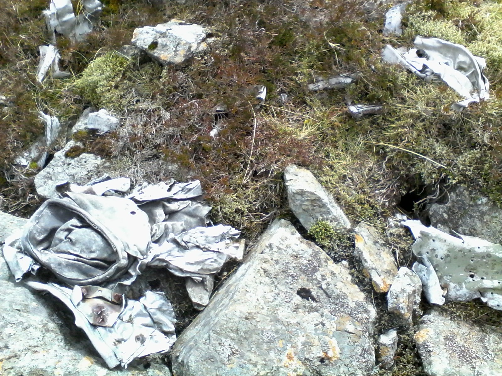 wreck site uk: Thunderbolt P-47c 41-6246 ' Sweet Pea ' 495 FTG RAF ...