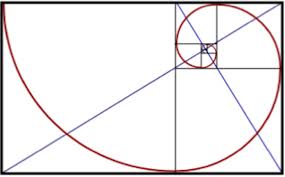 Blog de Matemática de 2do D: Rectangulo de Oro y Número de Oro