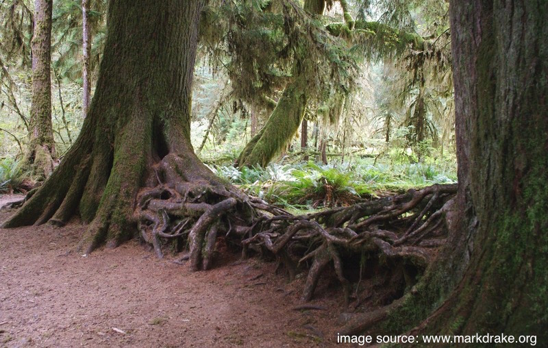 Sivaprasad (Siva): Unstoppable Updates (34): The hidden secret of the ...