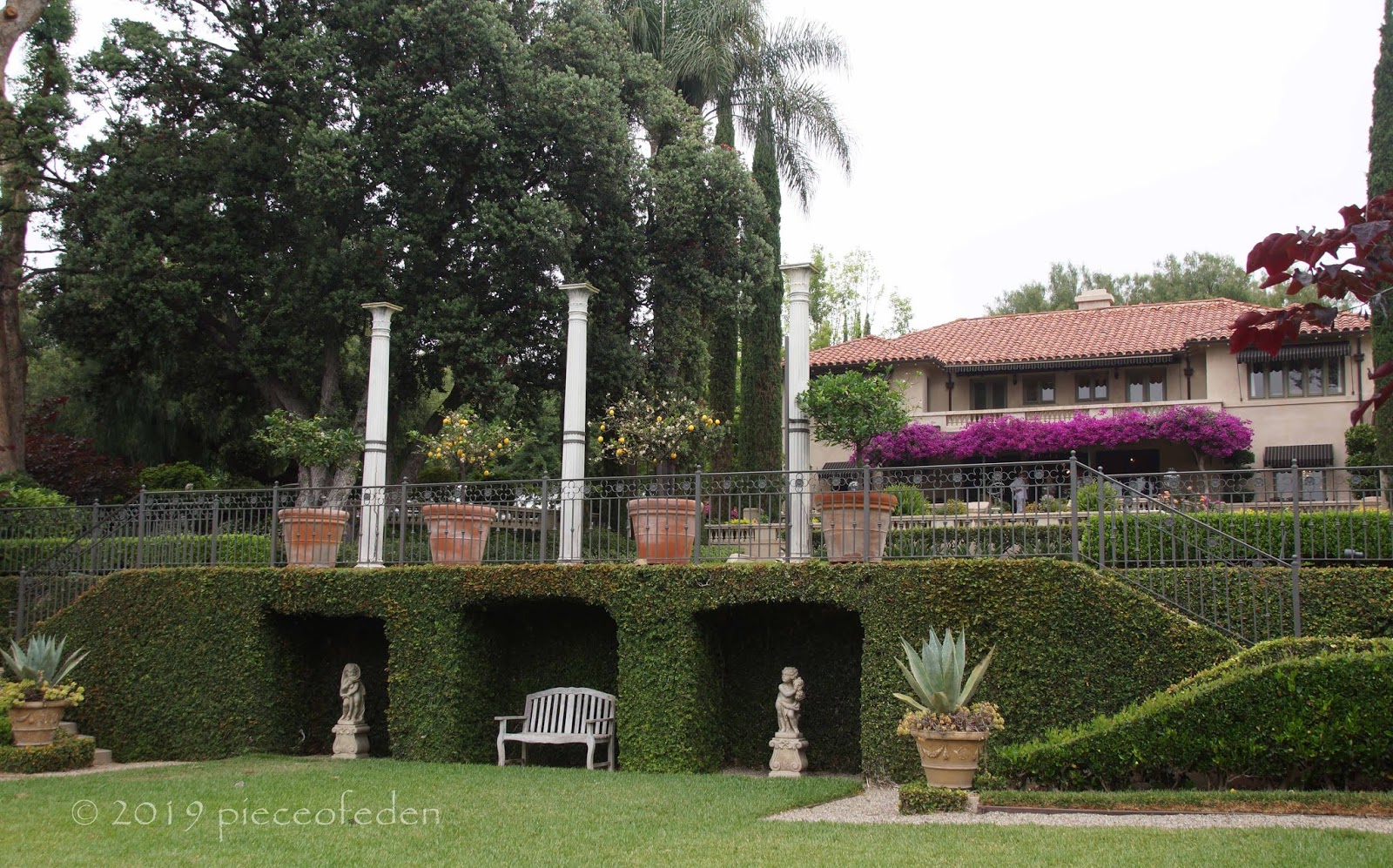 Mediterranean Garden Revisit