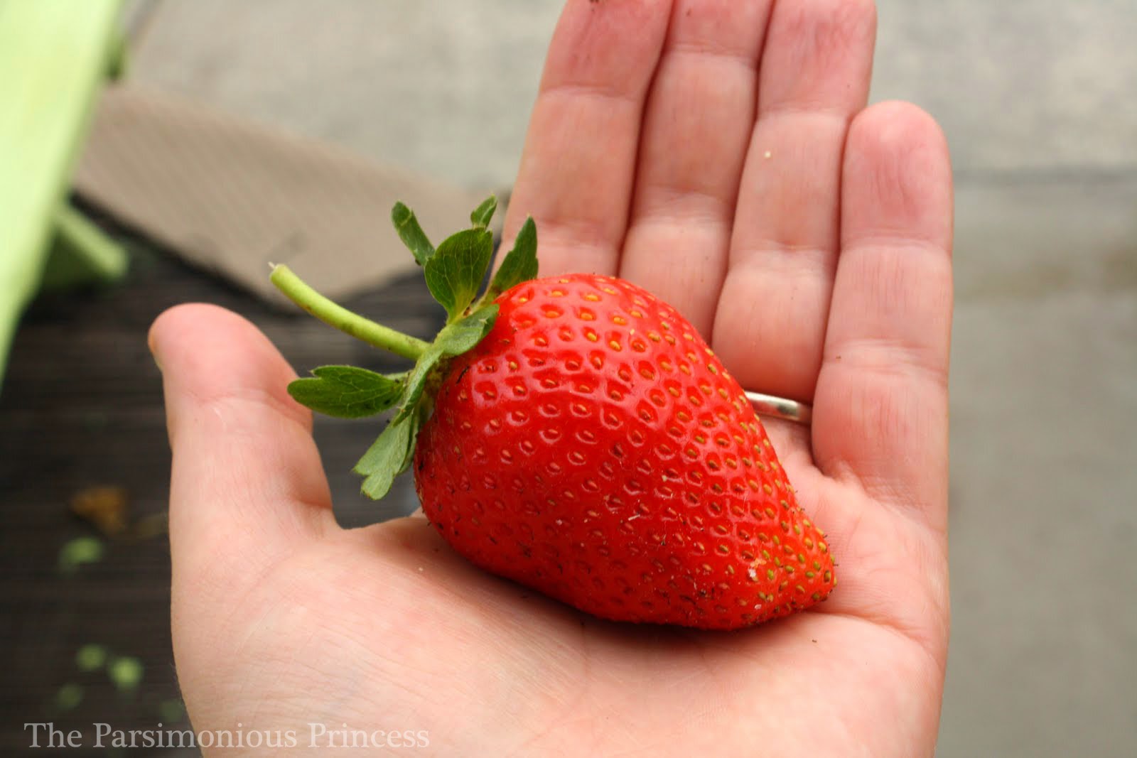 The Parsimonious Princess: One Berry, Two Berry: An Introduction to ...