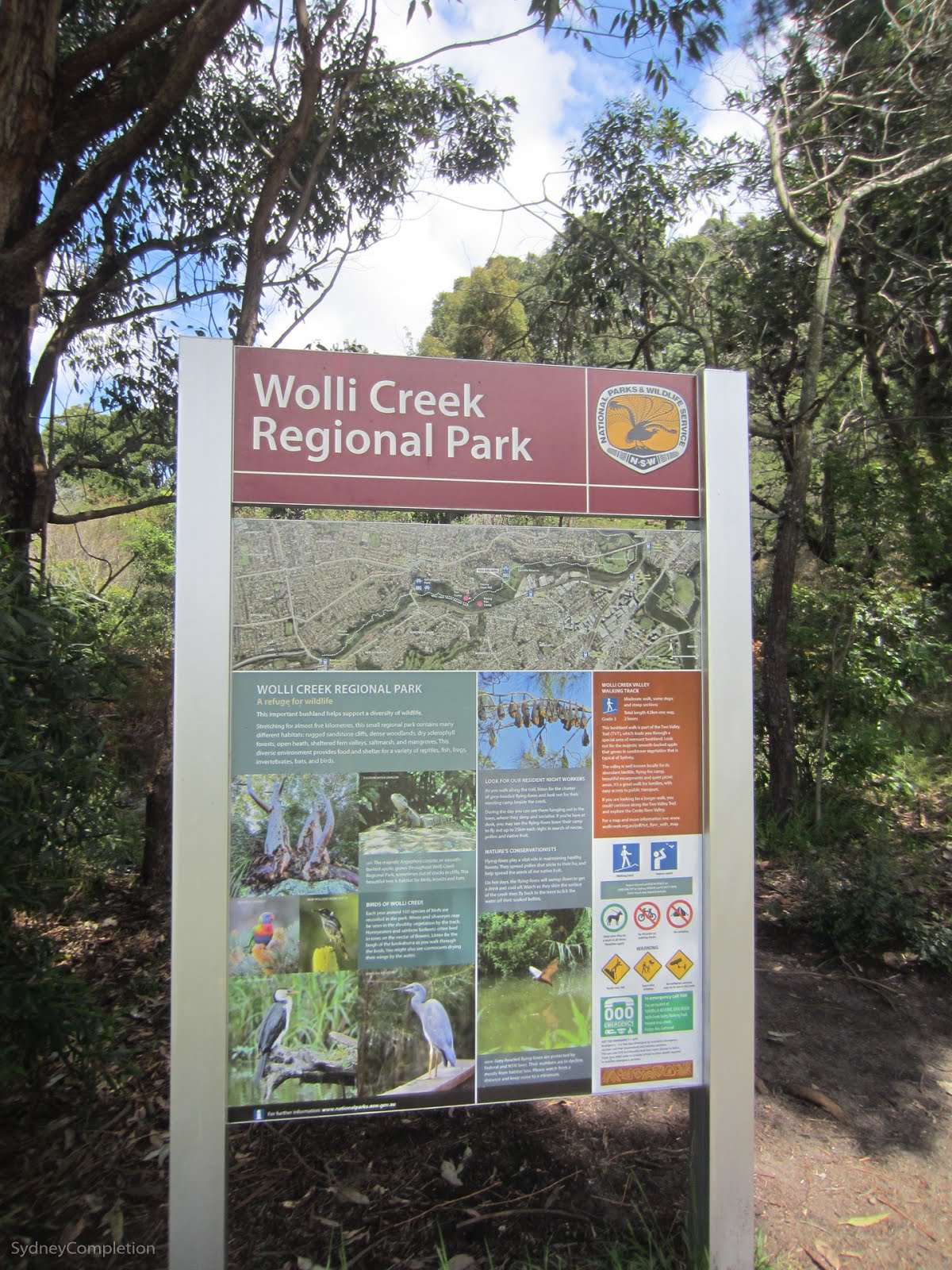 My Name is: Earlwood - Completing Sydney