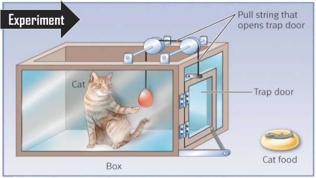 VIDYA'S PHOENIX: PSYCHOLOGY OF TEACHING AND LEARNING ::TRIAL AND ERROR ...