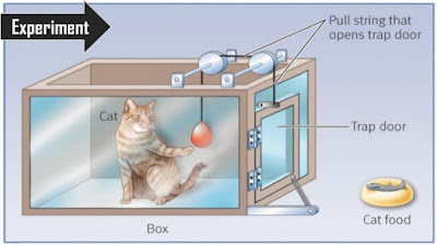 VIDYA'S PHOENIX: PSYCHOLOGY OF TEACHING AND LEARNING ::TRIAL AND ERROR ...