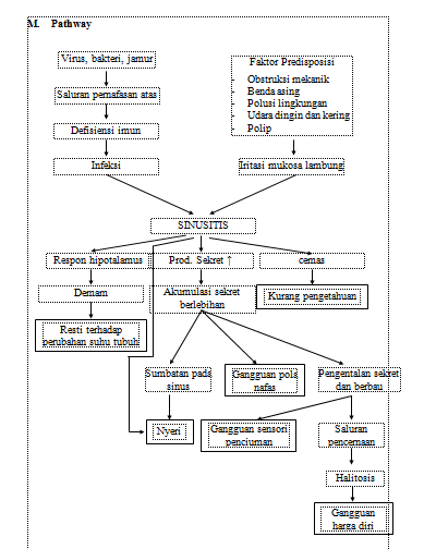 PENGERTIAN SINUSITIS | SUKSES