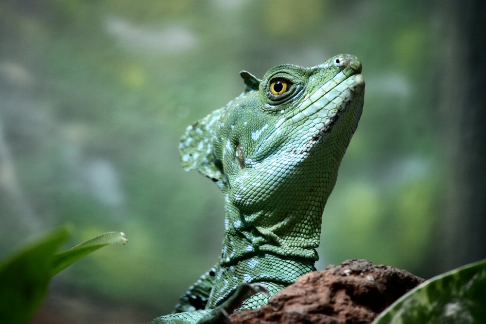 Posted by Wandering Writer at 7:00 AM