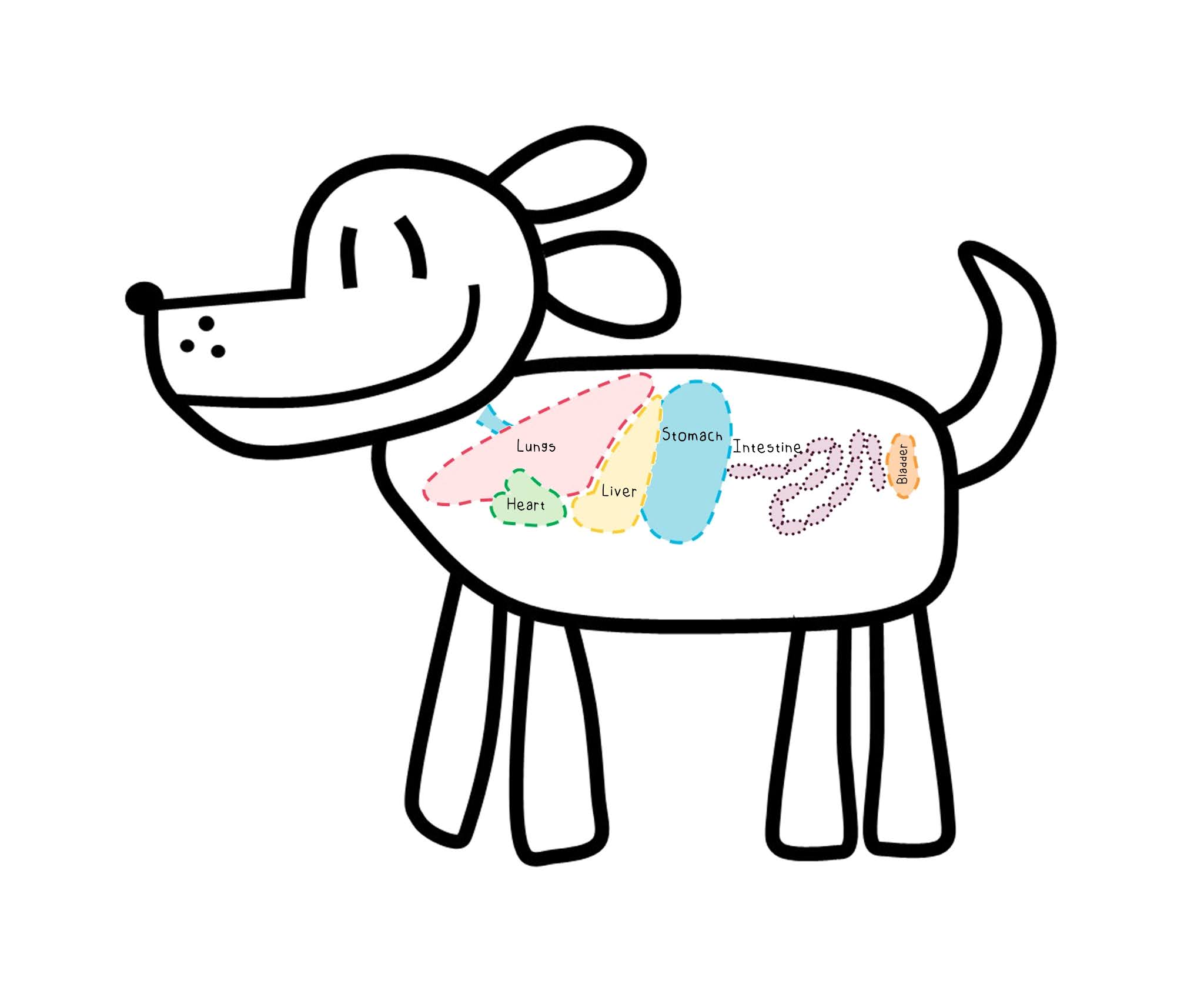 Dog Man Crafts and Activities - The Learning Curve