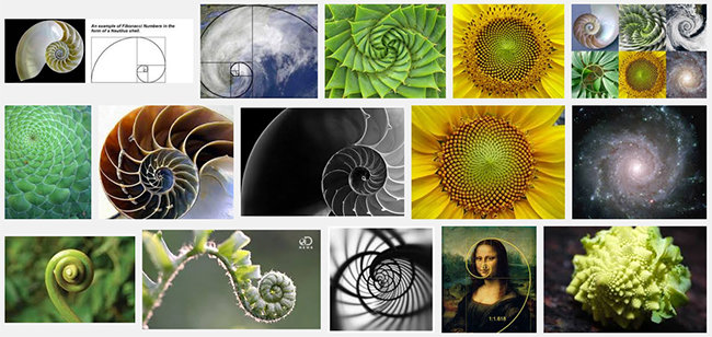 MathsEasyLearn: Fibonacci Series/Number/Sequence (God number series ...