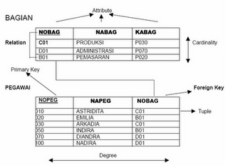 Key and Descriptive Attributes (Data Modelling) | about Information System