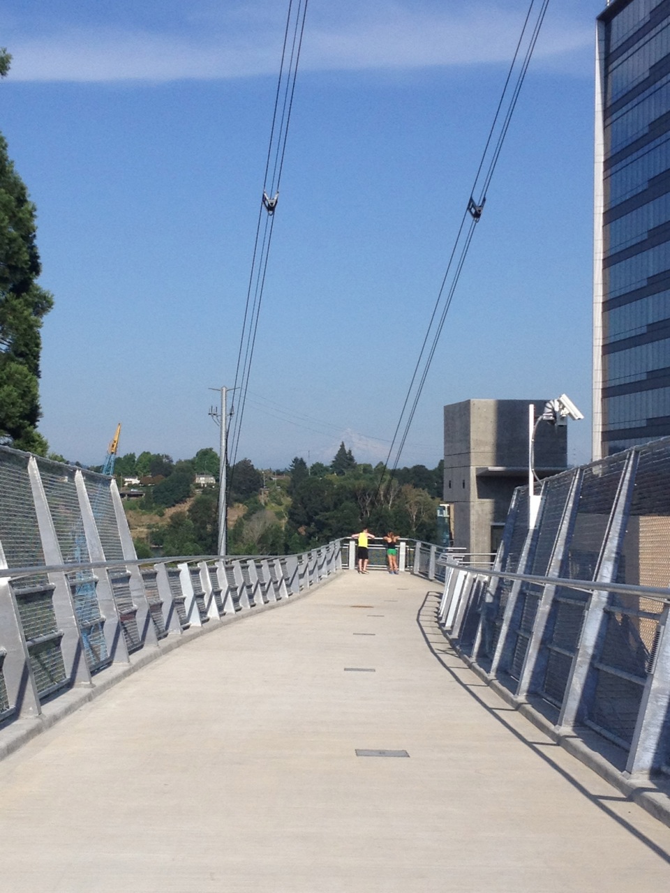 South Waterfront blog: Photos: Gibbs Bridge Opening