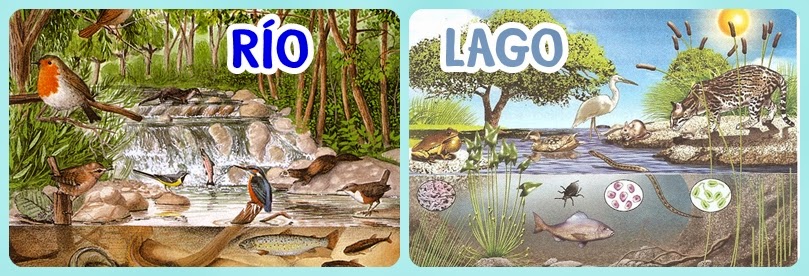 La clase de Laura: El río y el lago