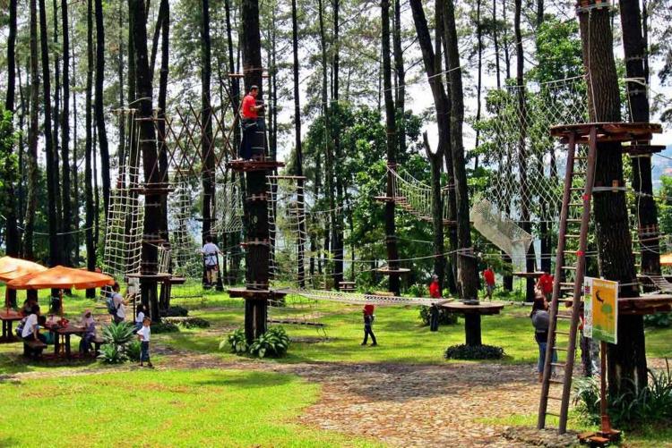 Bali Treetop Adventure Park Bedugul