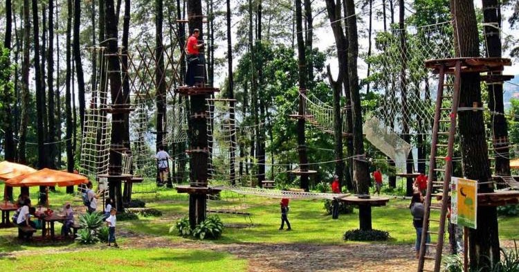 Bali Treetop Adventure Park Bedugul