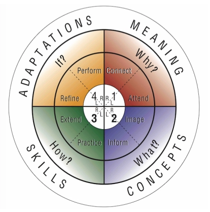สารานุกรมการบริหารและการจัดการ: 4MAT Learning Cycle Model [Bernice ...