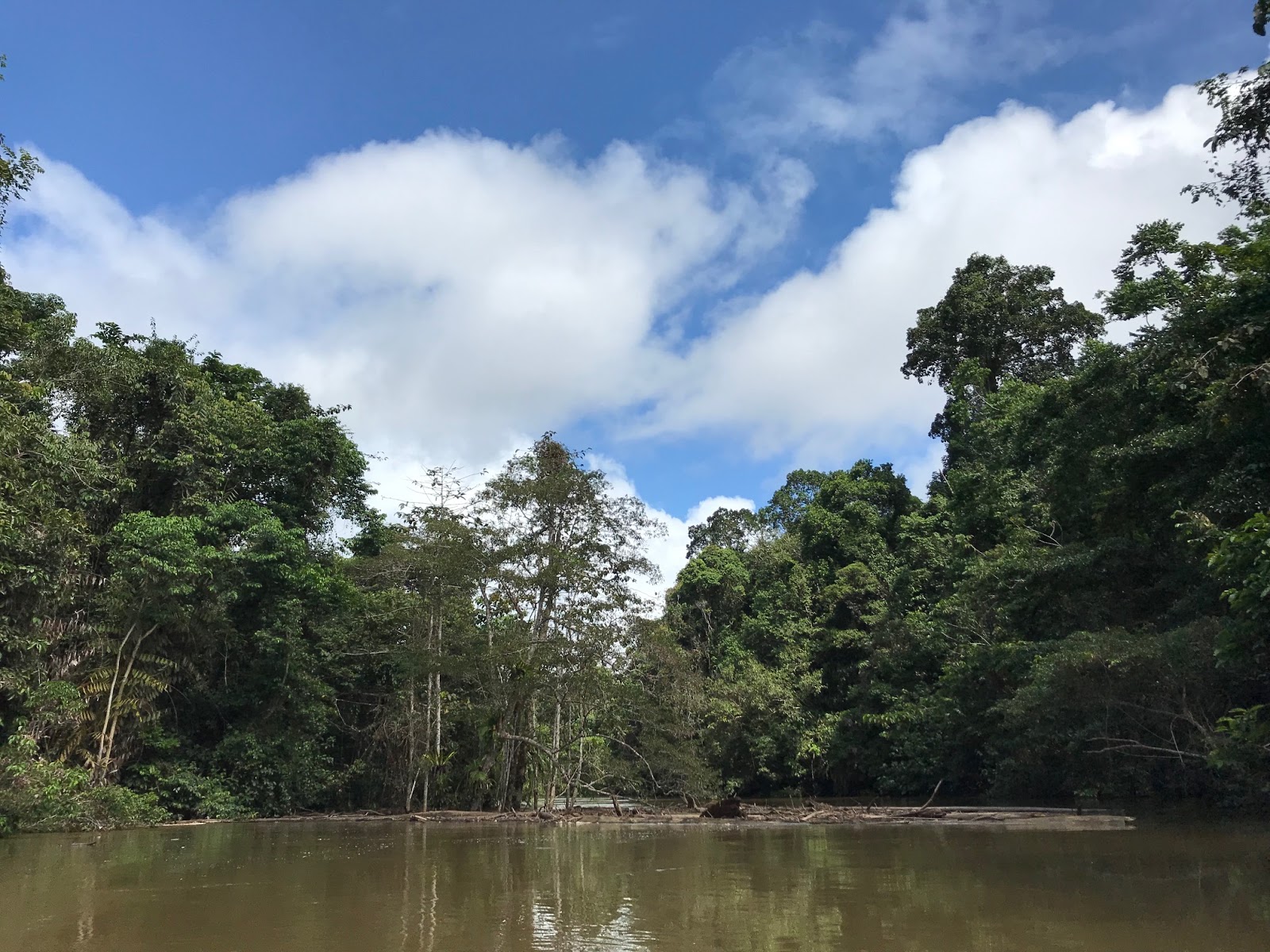 Matt Eade's Blog: Papua New Guinea - Kiunga & Kwatu June 2019 (Part 3)