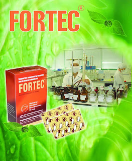 FORTEC - Hỗ trợ hiệu quả điều trị bệnh viêm gan: ĐÁNH GIÁ HIỆU QUẢ ...