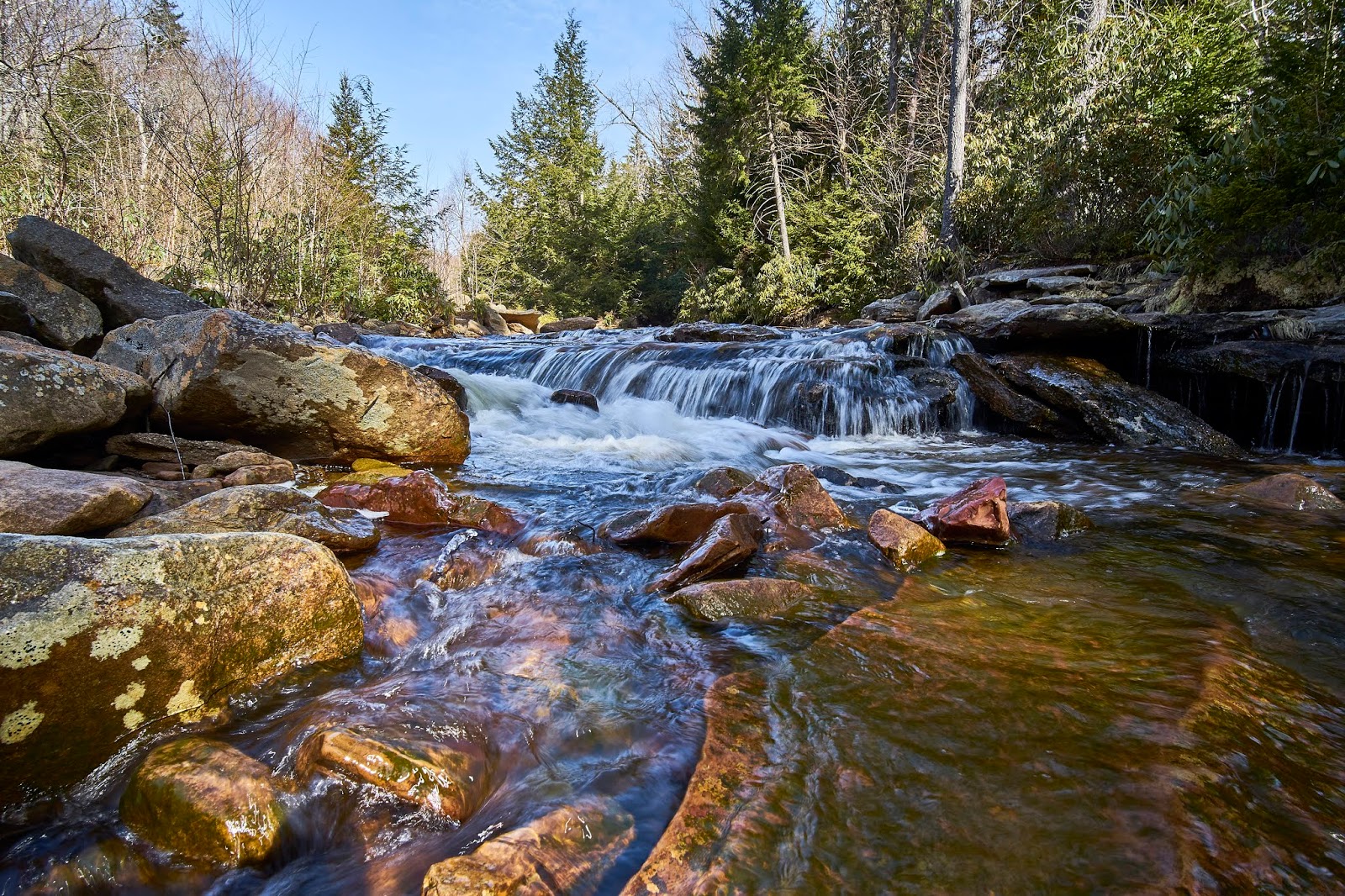 Dolly Sods spring | Backcountry Post