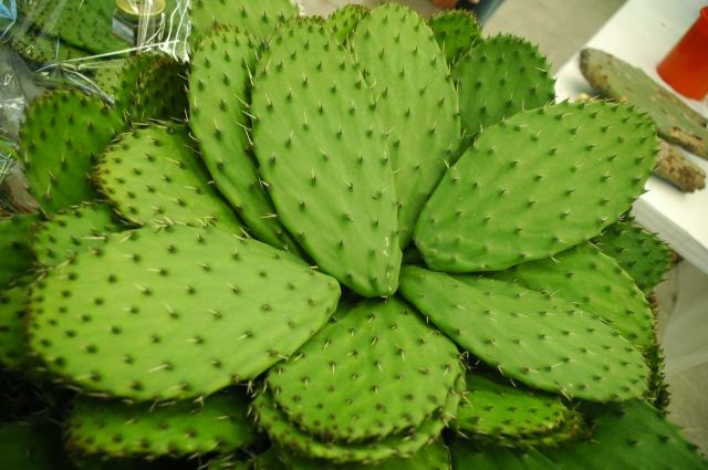 Remedios recetas y mas