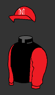 The Colours Of Horse Racing: Coolmore Classic