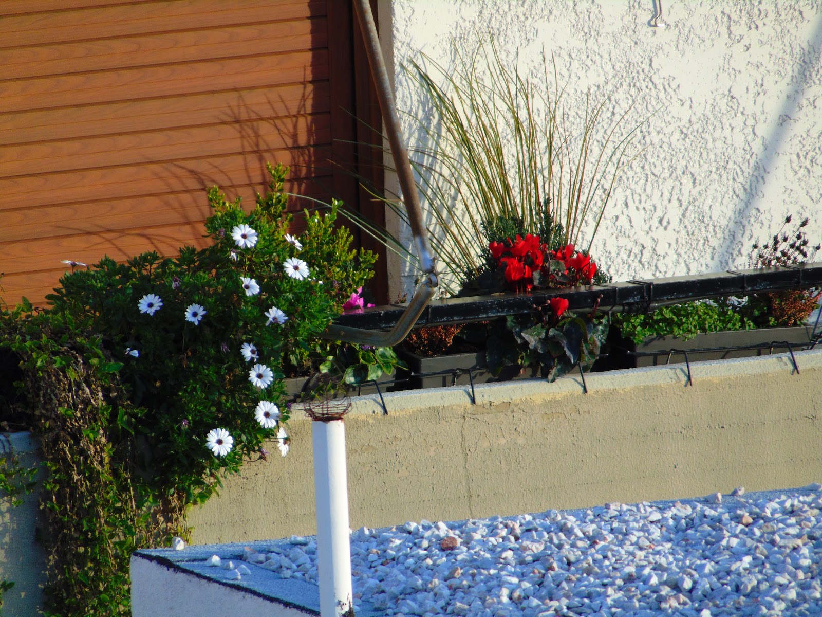 smile, sad, happy, before, after, mouth, lips, face, faces, difference ...