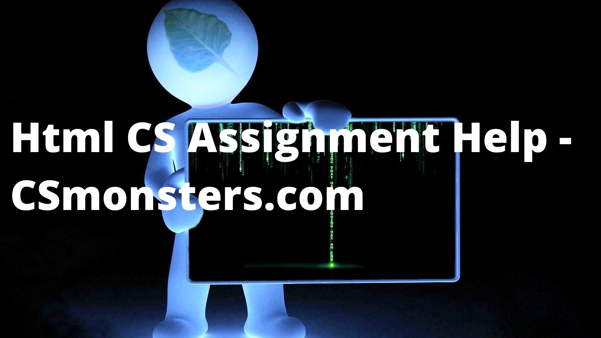 Lee Thomas Vitiligo Entertainment Reporter