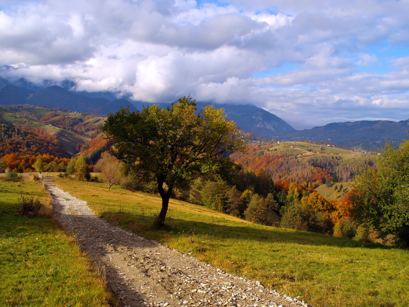 Explore Romanian Landscapes: Autumn Landscapes in Romania